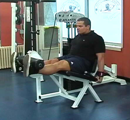 Best Leg Workout - The Top 5 Leg Exercises