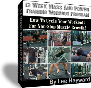 12 Week Muscle Building Workout Program